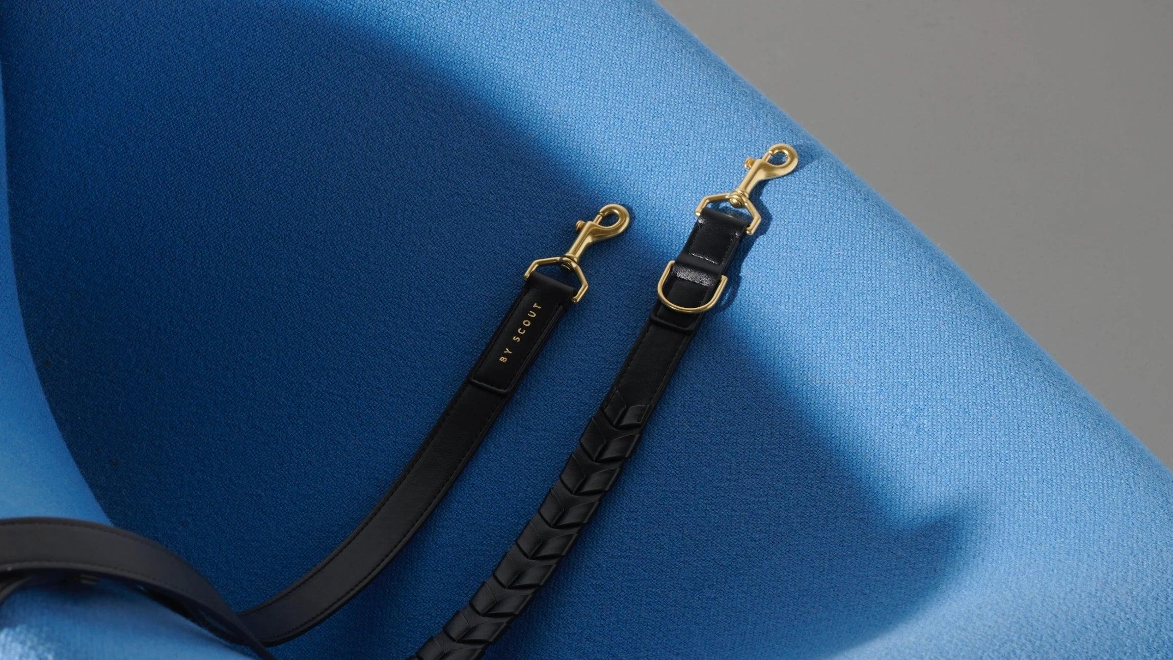 Premium Leather-Like Dog Leashes - Designed for the coolest dogs | By Scout