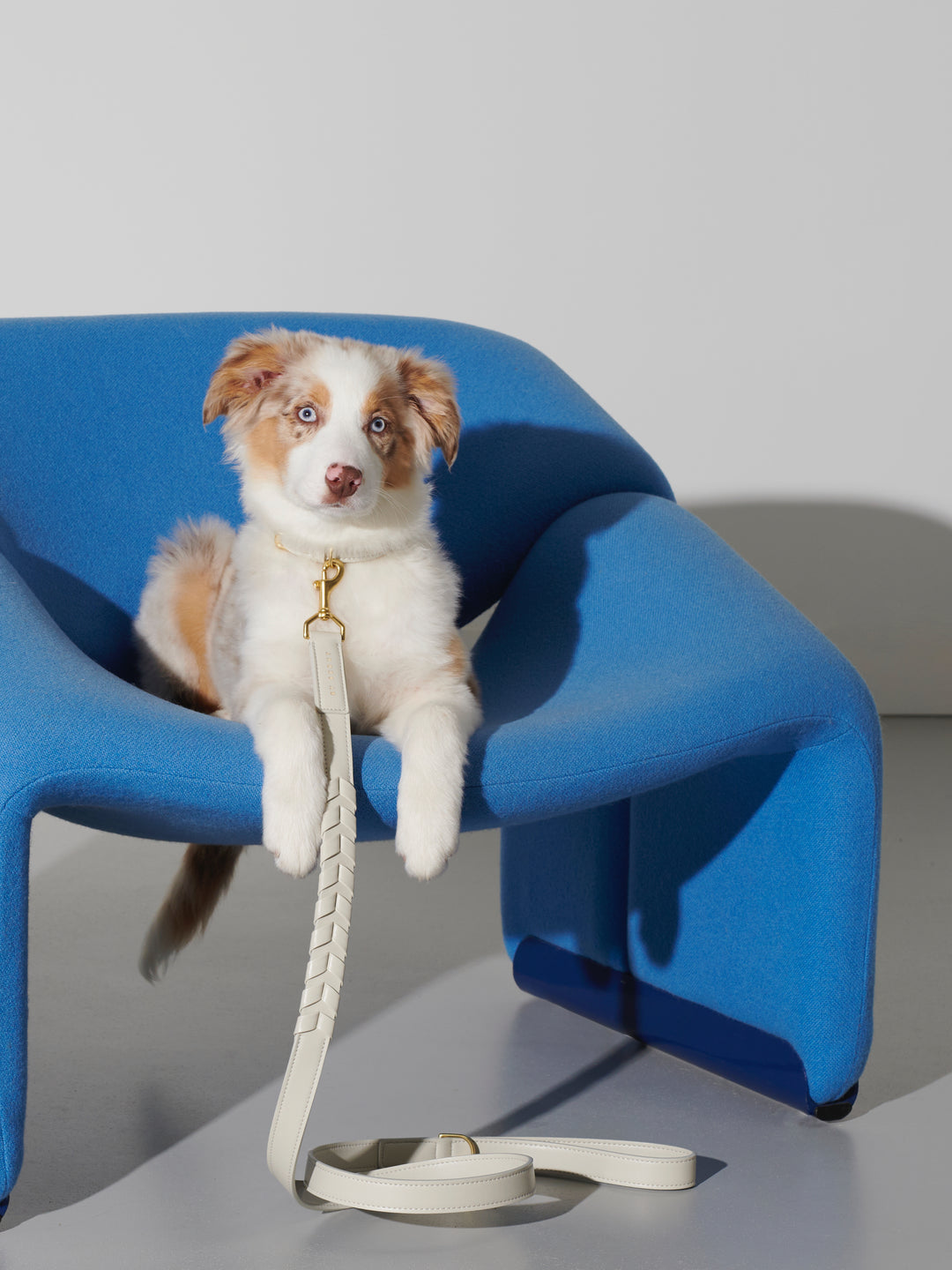 BY SCOUT® | The most desirable and premium vegan dog products – By Scout